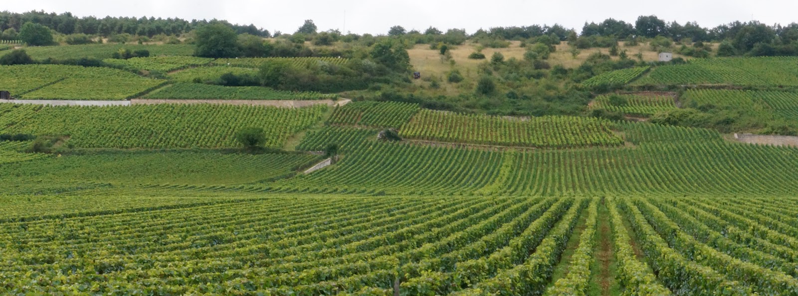 O conceito de Terroir | Vinho Nosso